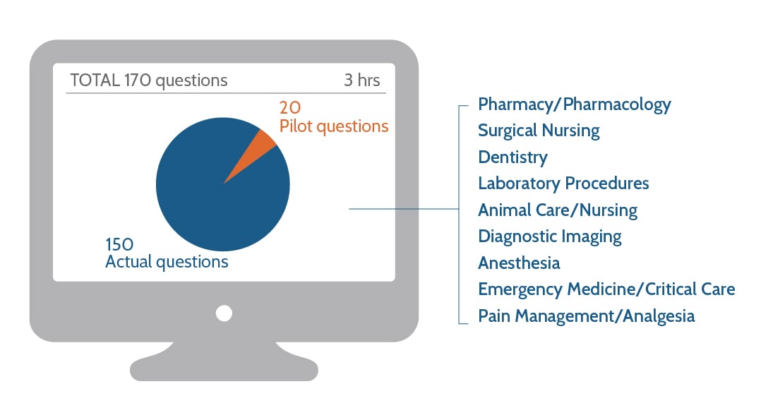 VTNE Test Day: What Every Vet Tech Student Should Expect