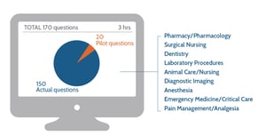 VTNE Test Day: What Every Vet Tech Student Should Expect