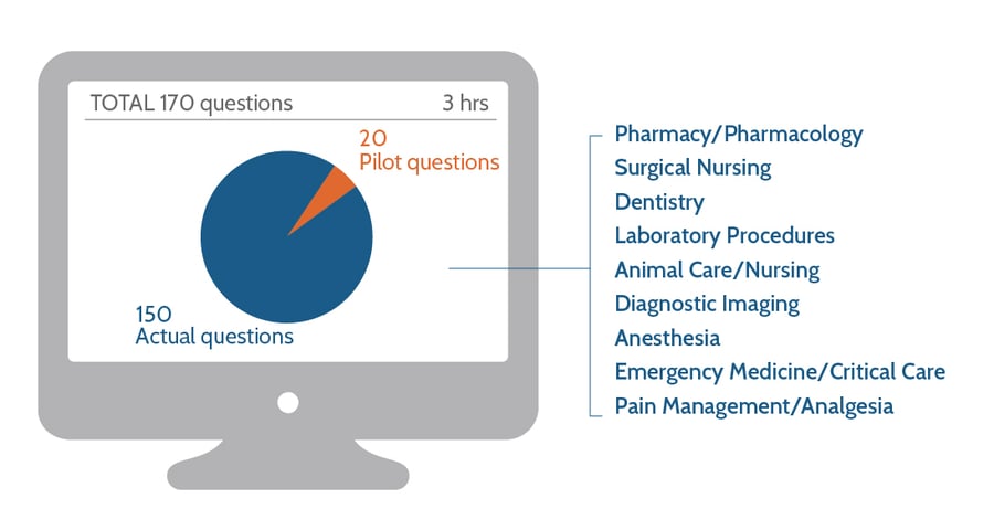 VTNE Test Day: What Every Vet Tech Student Should Expect