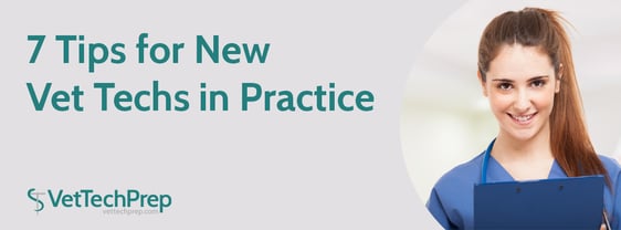 7 Tips for New Vet Techs in Practice