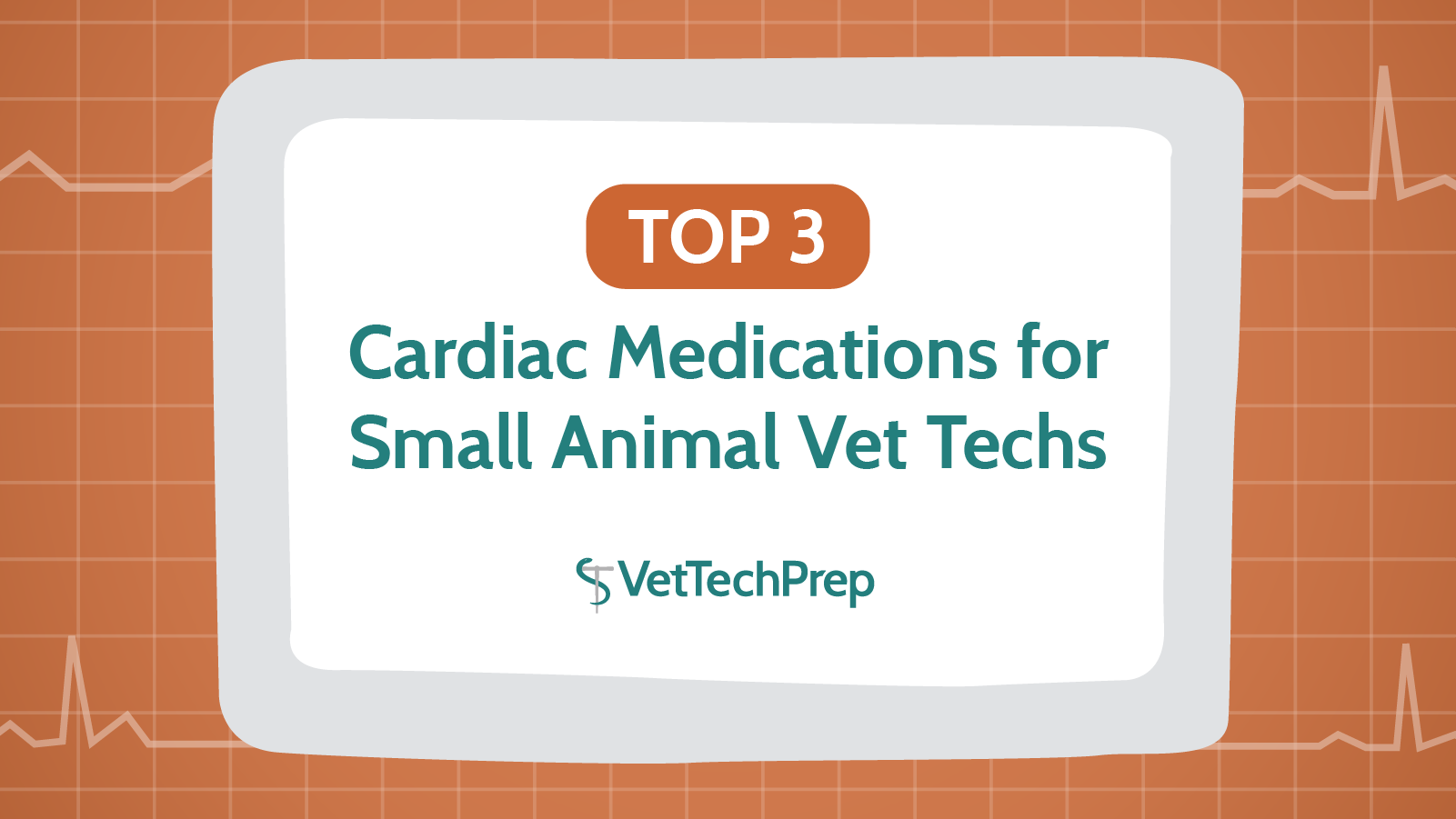 Top 3 Cardiac Medications for Small Animal Vet Techs