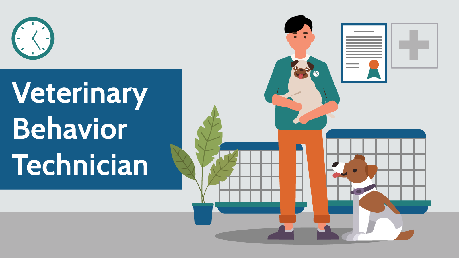So You Want to Become a Veterinary Behavior Technician