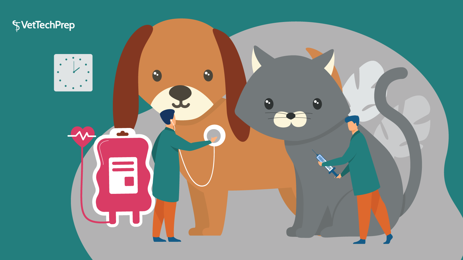 A Vet Tech’s Guide to Pre-Transfusion Testing in Dogs & Cats