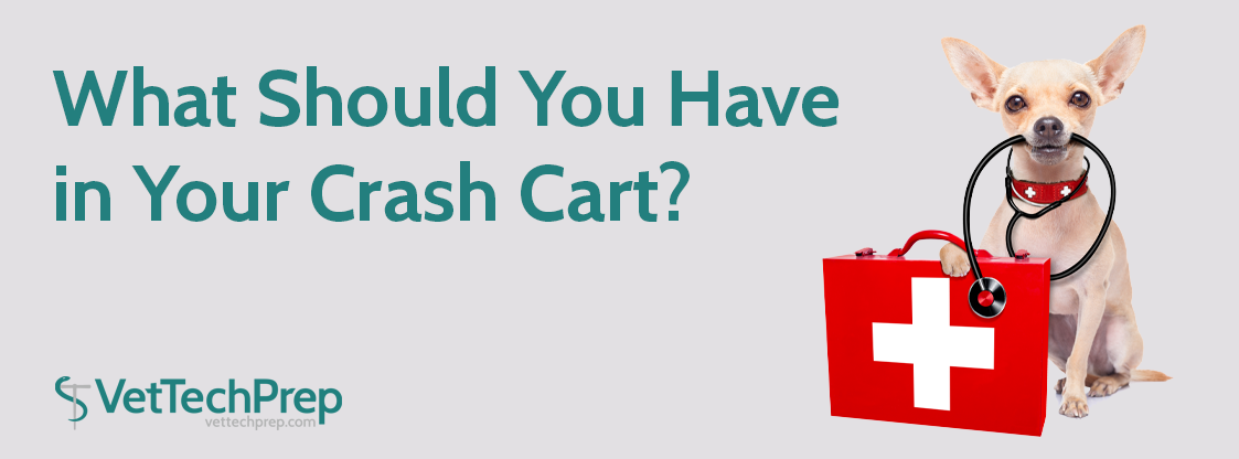 What Should You Have in Your Veterinary Crash Cart?