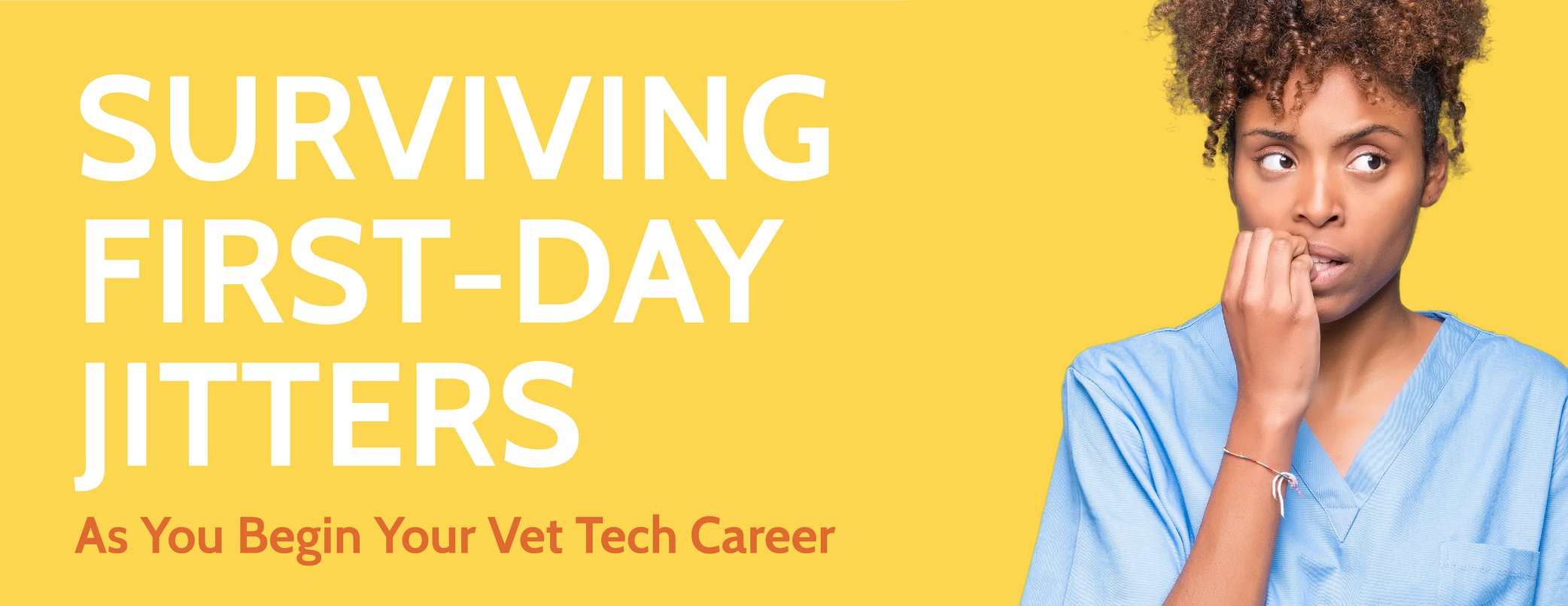 Surviving First-Day Jitters as You begin Your Vet Tech Career
