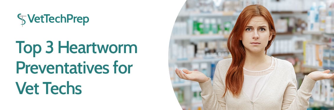 Top 3 Heartworm Preventatives for Vet Techs