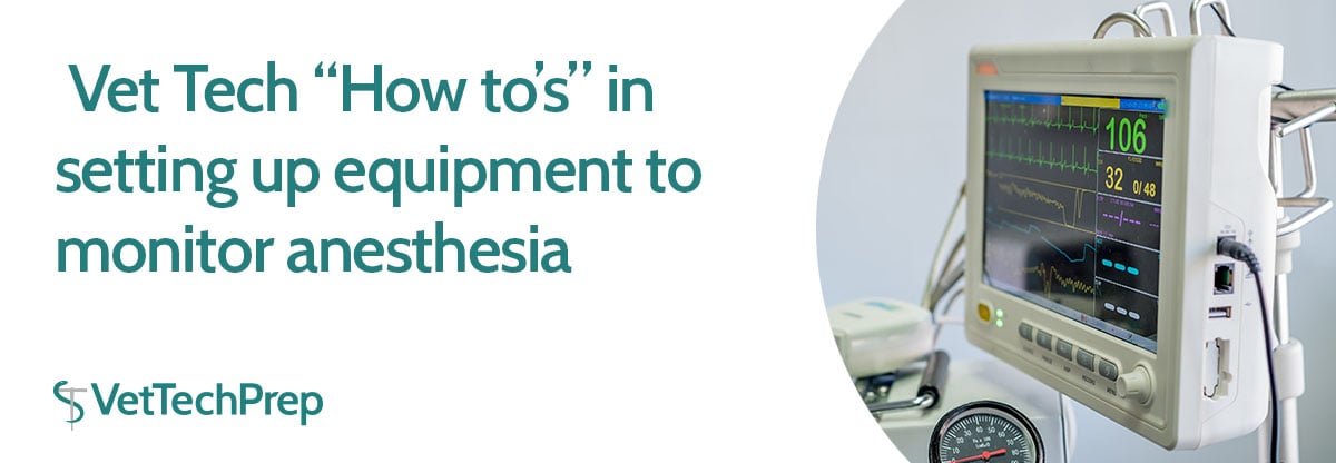 How to Setup Anesthesia Monitoring Equipment for Vet Techs
