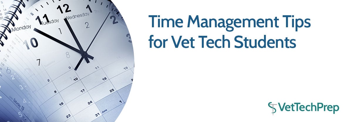 time-management-tips-for-vet-tech-students-2019